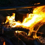 Bonfire Food: Trout And Onions Roasted Stock Photo - Image of camp ...
