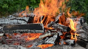 Burn branch stock video. Video of blazing, heat, light - 38322322