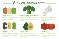 Fast food infographic stock vector. Illustration of lunch - 41887657