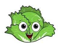Cabbage Cute Anime Humanized Smiling Cartoon Vegetable Food Character ...