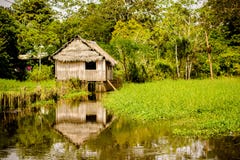 Casa en el río Amazonas imagen de archivo. Imagen de árbol - 46260233