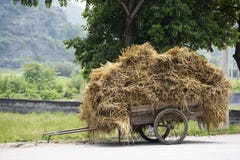Hay Wagon Stock Photos, Images, & Pictures - 963 Images