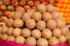 Mango Tree Stock Photo - Image: 4782350