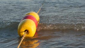 Buoy bobbing in the water stock video. Video of speeds - 100785547