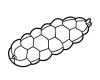 Salami Coloring Page Coloring Pages