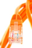Network cable RJ45 stock image. Image of closeup, connection - 5867263