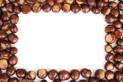 2+ Border chestnuts Free Stock Photos - StockFreeImages
