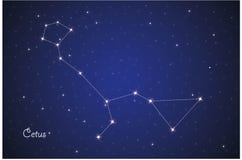 The Constellation Cetus Star In The Night Sky. Stock Vector ...