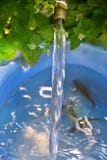 Natural Water Fountain And Fish Stock Photo - Image: 69665036