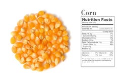 Corn Nutrition Facts stock vector. Illustration of grain - 56572412