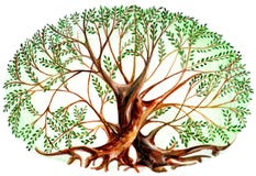 Deux arbres entrelacés illustration stock. Illustration du mariez ...