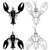 Smiling crayfish stock vector. Illustration of close - 16327939