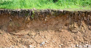 A Cut Of Soil Stock Image - Image: 20670581