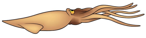 Cuttle Stock Illustrations – 79 Cuttle Stock Illustrations, Vectors ...