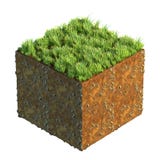 Turf cross section stock photo. Image of grasses, green - 6268414