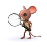 Funny Rat And Magnifying Glass Stock Photo - Image of magnifying ...