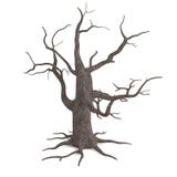 3D Render Of A Dead Tree Without Leafs Stock Illustration - Image: 9343997