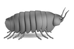 Pill Bug Stock Illustrations – 38 Pill Bug Stock Illustrations, Vectors ...