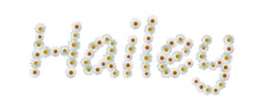 Hailey Name Lettering Tinsels Stock Vector - Illustration of letter ...