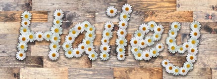 Hailey Name Lettering Tinsels Stock Vector - Illustration of letter ...