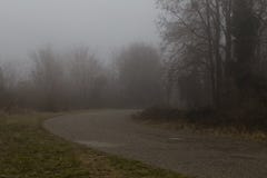 Road Danger - fog stock photo. Image of concept, black - 320224