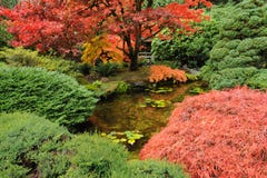 De Japanse Tuin Van De Herfst Stock Foto - Afbeelding bestaande uit ...