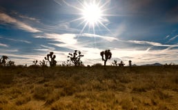 Skyline of Yuma, Arizona stock photo. Image of border - 27444288