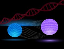 Dna storage stock image. Image of bioscience, concept - 79149241