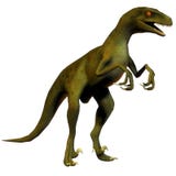 Velociraptor Dinosaur, Full Skeleton Scientifically Correct, Side View ...