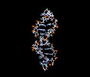 DNA Crystal Structure Royalty Free Stock Images - Image: 2211039