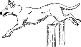 Dog Agility Stock Illustrations – 335 Dog Agility Stock Illustrations ...