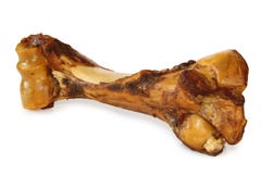 Dog with a white bone stock image. Image of brown, hungry - 23868837