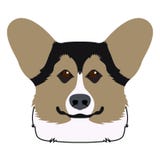 Corgi dog face icon stock vector. Illustration of puppy - 71784901