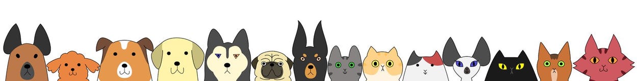 Banner With Cats Illustration 35155259 - Megapixl