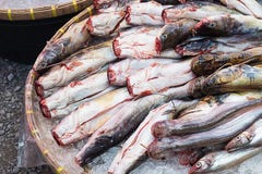 Dead Cod Fish Stock Photos, Images, & Pictures - 254 Images