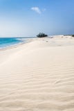 Wild beach and catamaran stock image. Image of madagascar - 29078985