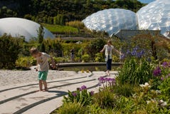 The Main Biomes In The World Royalty Free Stock Images - Image: 30378519