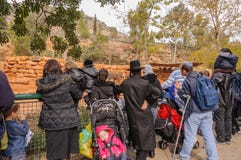 El Amontonar De Los Cabritos Foto de archivo - Imagen de niño ...