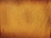 Parchment Skin Before Rejection.Chemical Peeling. Stock Photo - Image ...