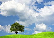 Positive work environment stock illustration. Illustration of corporate ...