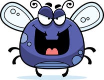 Mad Fly Cartoon Stock Vector - Image: 47805574