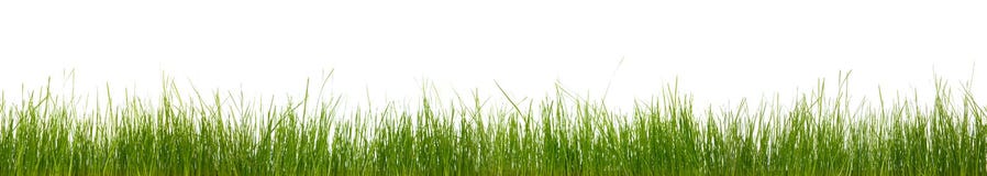 Extra Large Horizontal Strip Of Grass Stock Image - Image of side ...