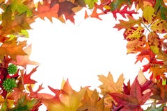 Fall leaves frame stock photo. Image of yellow, plank - 34198062