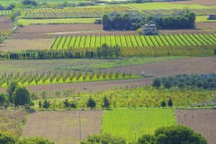 Agriculture in Malta stock photo. Image of farms, scenic - 62564592