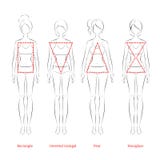 Female Body Shape Types Set Clipart And Illustrations