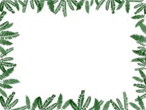 Seamless Fiddle Fern Border Royalty Free Stock Photo - Image: 22838595