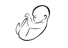 Feto Colorir Embrion Desenho Abrazo Imagui Pintar Sketch Coloring Page