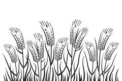 Coloring Pictures Of Wheat Field Coloring Pages