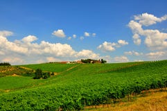 Italian Green Landscape In Tuscany , Italy Stock Photo - Image: 31291776