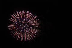 Single Burst Of Fireworks On A Black Background Stock Photo - Image of ...